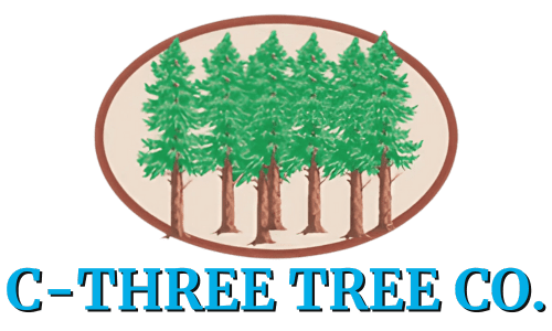C-Three Tree Co. | Taking care of trees since 1998